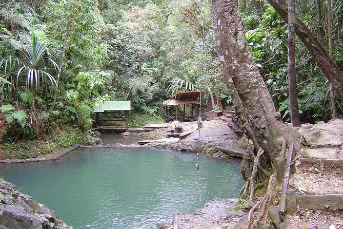 Colo-i-Suva Waterfall Tour (Suva) - The Experience in Detail