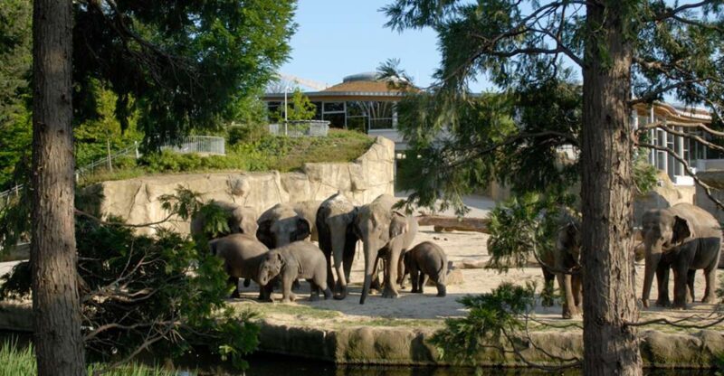 Cologne: Cologne Zoo and Aquarium Entry Ticket - FAQs