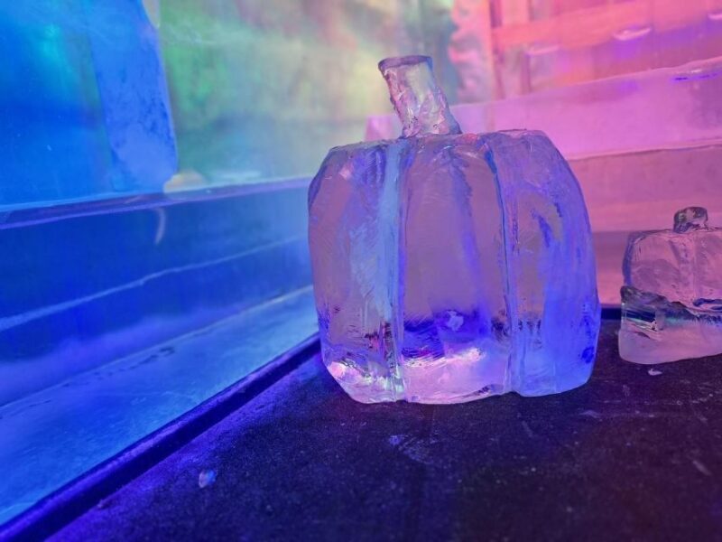 Cologne: IceBar Entry Ticket with Drinks - The Real Value of Your Ticket