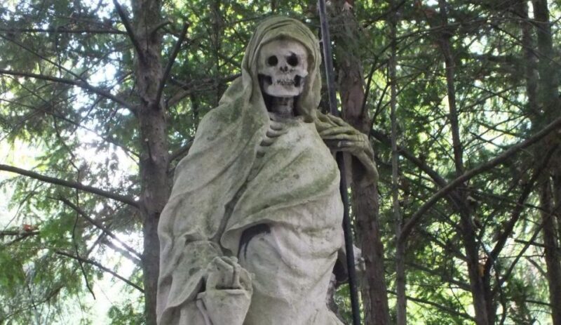 Cologne: Melaten Cemetery Life, Love and Death Tour - Key Points