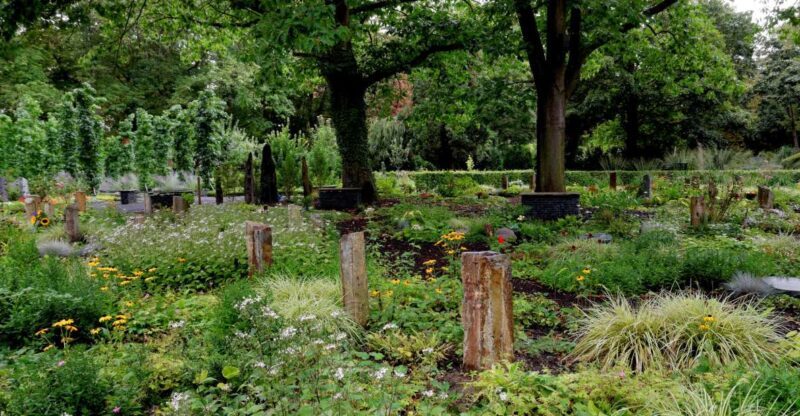 Cologne: Melaten Cemetery with Old Town Private Tour - Highlights of the Cemetery Visit
