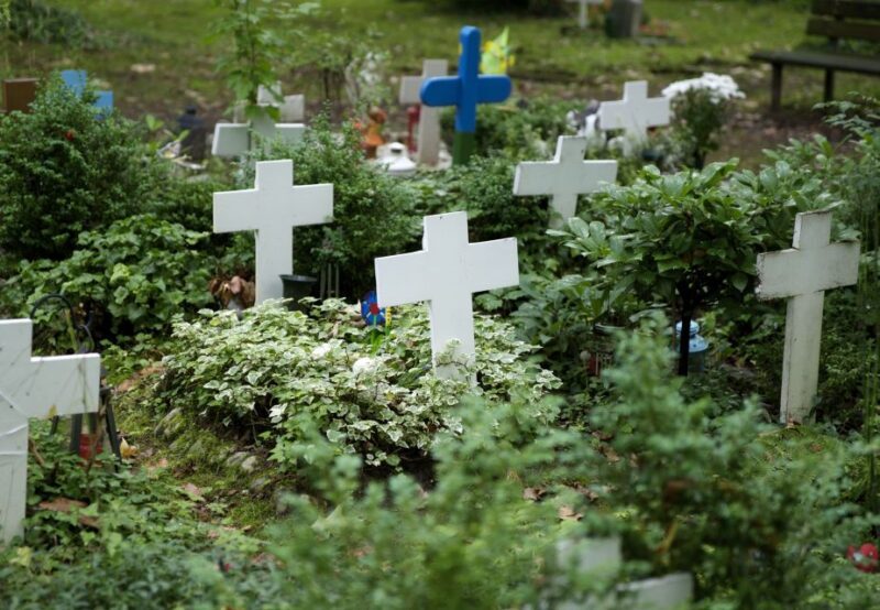 Cologne: Melaten Cemetery with Old Town Private Tour - Accessibility and Practicalities
