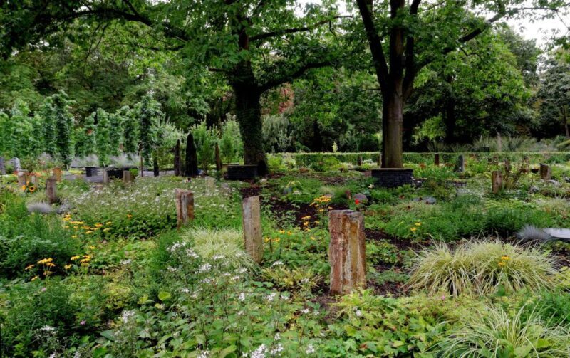 Cologne: Melaten Cemetery with Old Town Private Tour - Final Thoughts: Who Will Love This Tour?