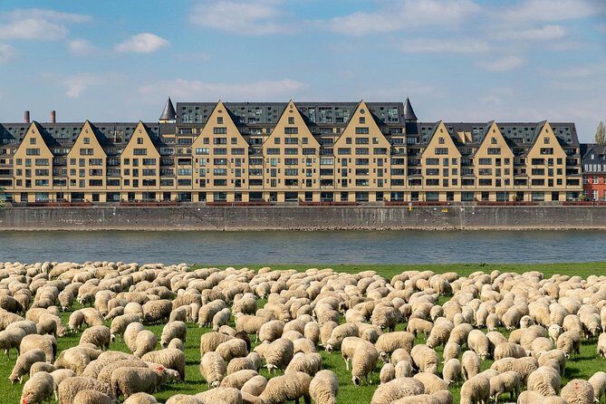 Cologne Private Full-Day Sightseeing Tour from Amsterdam - What the Reviews Say