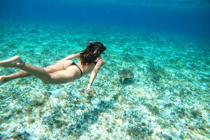 Colombia, Palancar & Cielo Cozumel Snorkel Tour - Analyzing the Value