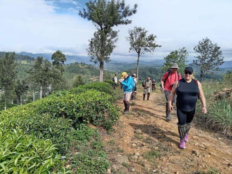 Colombo: 5-Day Hill Country Trekking Itinerary to Ella - An Authentic Journey Through Sri Lanka’s Hill Country