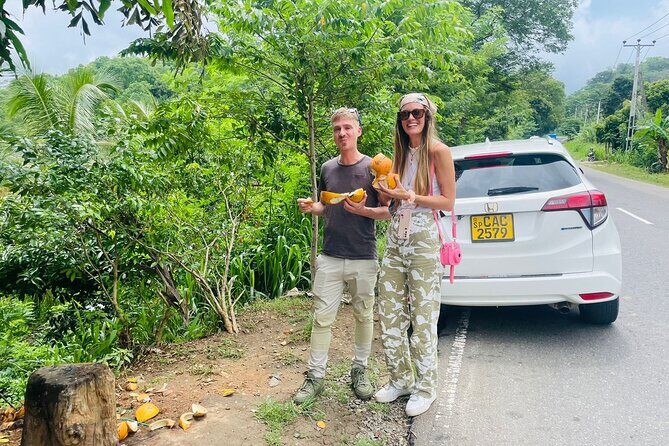 Colombo Airport Private Transfers - The Sum Up: Who Is This Service Best For?