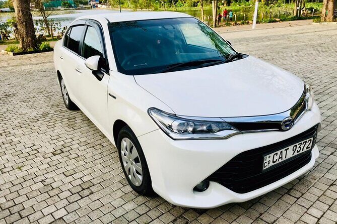 Colombo Airport to Sigiriya and Dambulla Shared Mini Van - Who Will Love This Service?