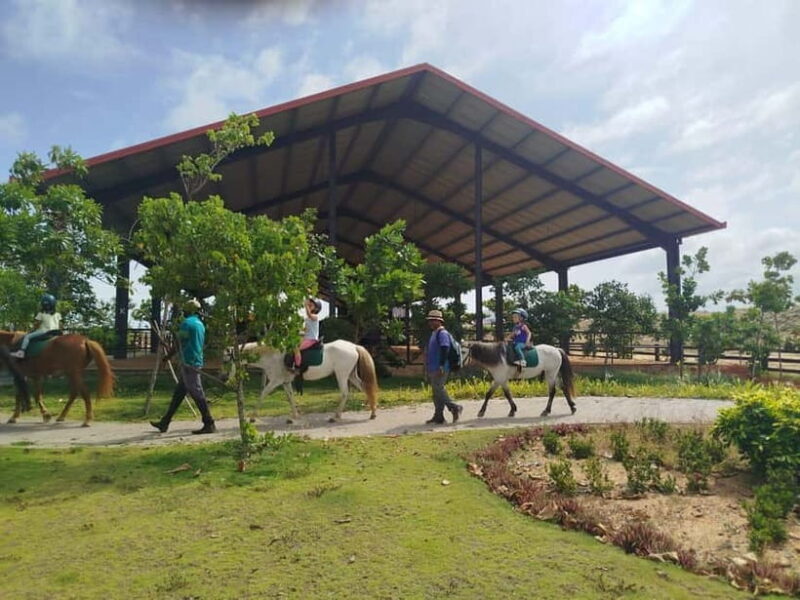 Colombo: Beach Horseback Riding Experience - Key Points