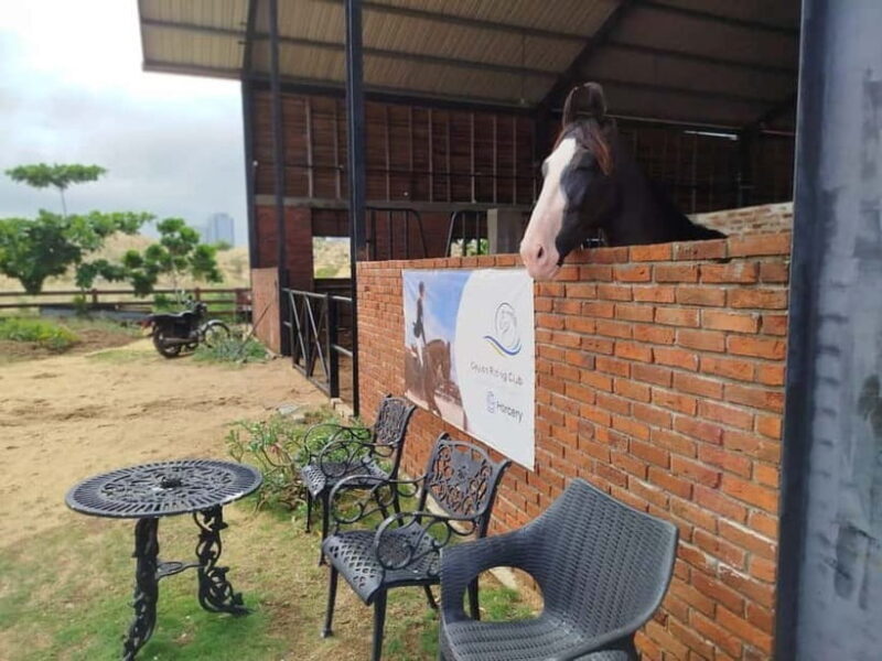 Colombo: Beach Horseback Riding Experience - Experience Overview: What You Can Expect