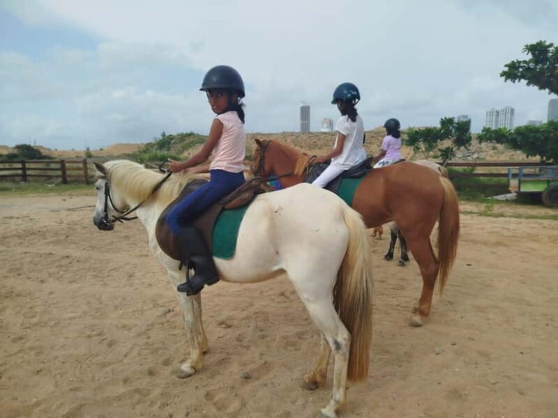 Colombo: Beach Horseback Riding Experience - What Reviewers Say