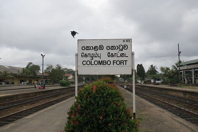 Colombo City Tour From Bentota - A Closer Look at the Colombo City Tour From Bentota