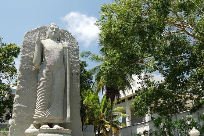 Colombo City Tour from Negombo - Who Should Consider This Tour?
