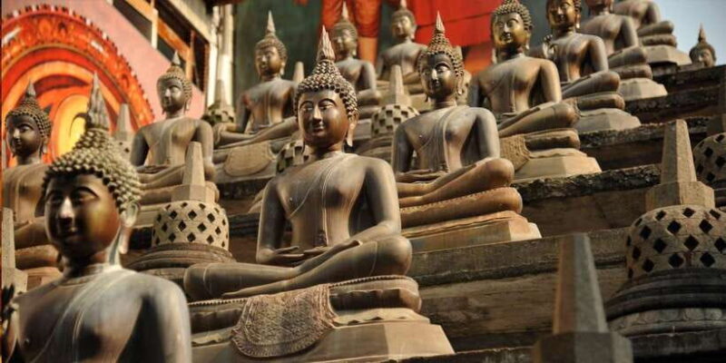 Colombo: city tour on a private car- full day & half day - Transportation and Practicalities