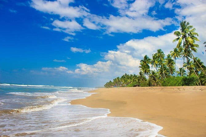 Colombo (CMB) Airport to Kandy City Private Transfer - The Sum Up