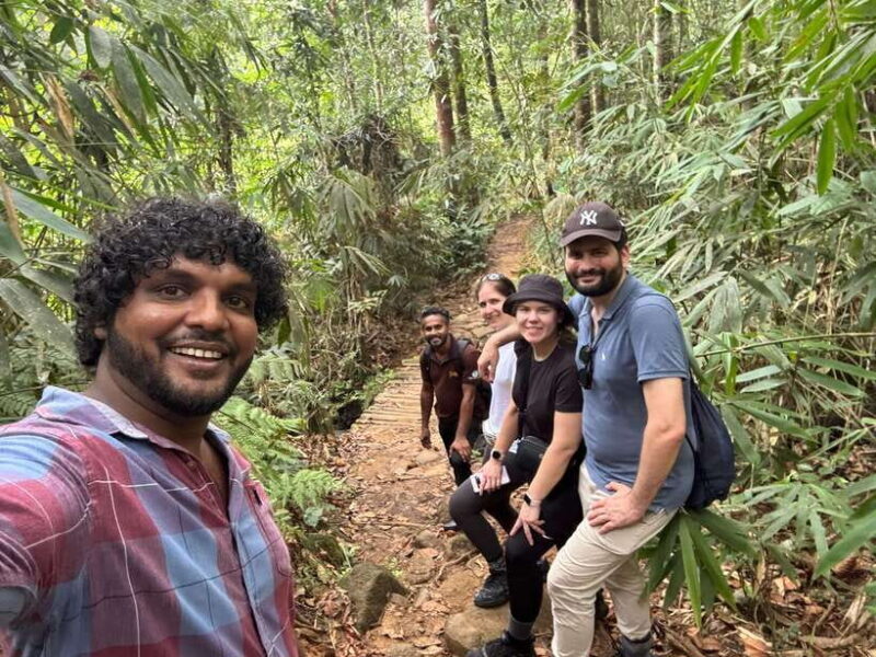 Colombo/Cmb/ Sinharaja Rainforest Day Trip with Lunch - Introduction to the Experience