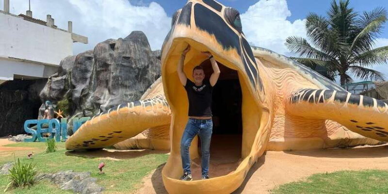 Colombo Cruise port: Galle, Turtle Hatchery & River Safari - The Sum Up