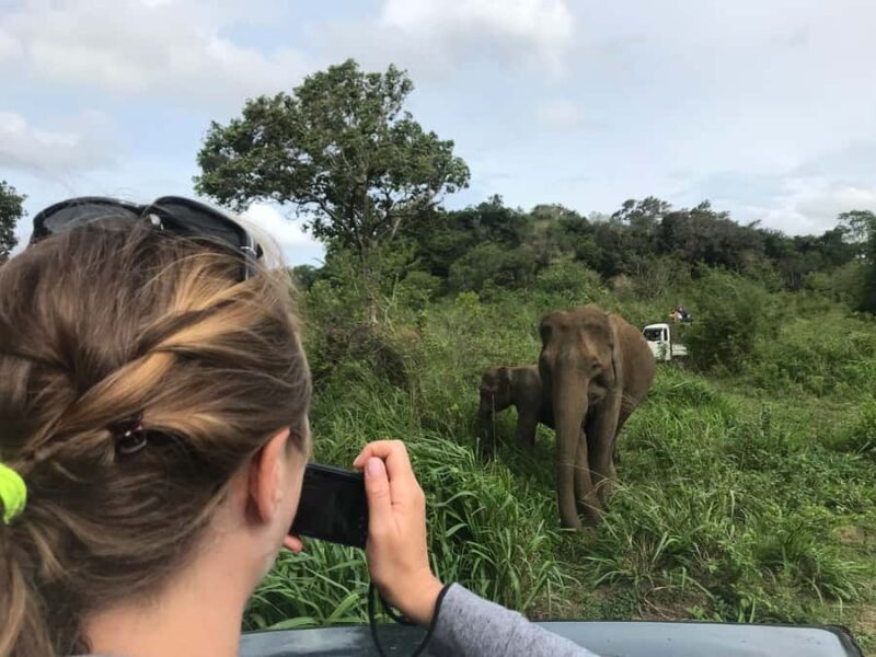 Colombo: Dambulla Cave Temple and Sigiriya Day Trip - Who Should Consider This Tour?