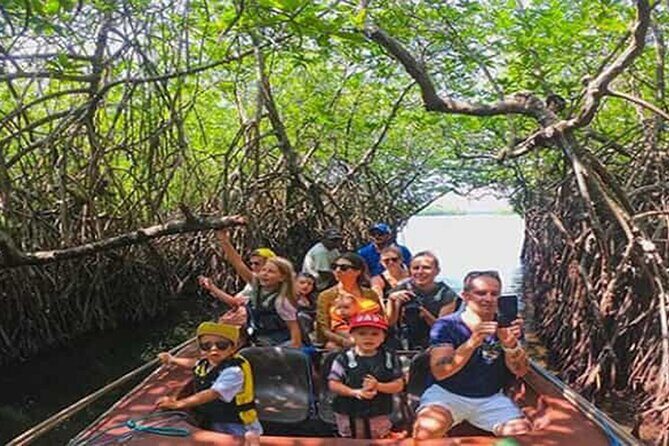 Colombo Day Trip: Galle Fort, Madu River Safari & Turtle Hatchery - Pricing and Value