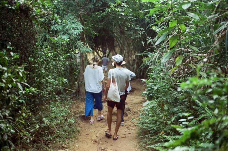 Colombo: Digana Waterfall Swim & Village Walk & Tea Factory - Discovering Digana Village: A Walk Through Rural Life