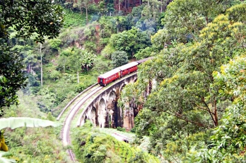Colombo: Ella Scenic Train Tour with Hotel Transfers - What Travelers Can Expect