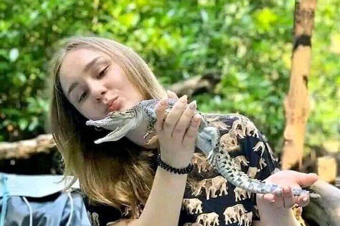 Colombo Galle, Madu River Safari, and Turtle Hatchery - Discovering Sri Lanka’s Southern Charm: Colombo Galle, Madu River Safari, and Turtle Hatchery