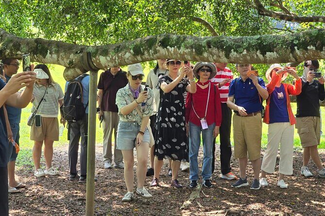 Colombo Heritage and Culture City Tour By TUK TUK ( Guided Tour) - Who Will Enjoy This Tour?