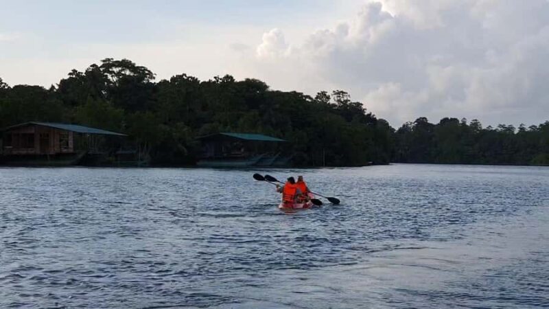 Colombo/Negombo: Koggala Lake Boat Safari and Kayaking Tour - Key Points