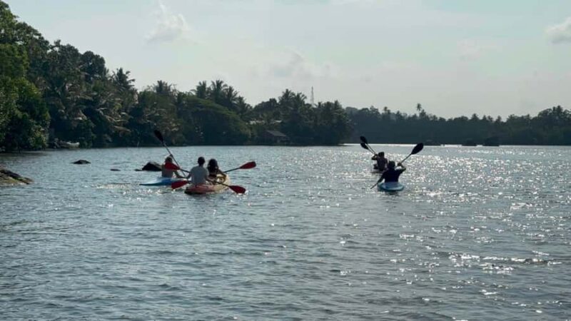 Colombo/Negombo: Koggala Lake Boat Safari and Kayaking Tour - Wildlife Watching: What You Can Expect