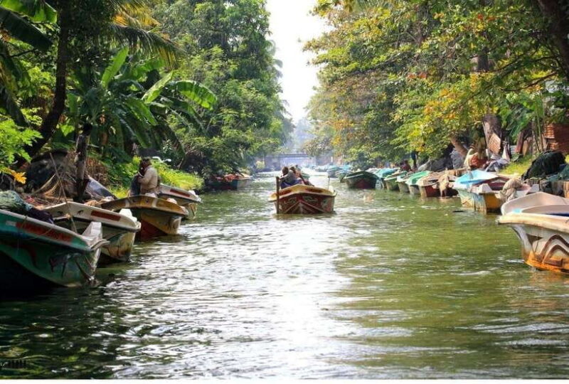 Colombo/Negombo: Muthurajawela & Dutch Canal Boat Adventure - Detailed Itinerary Breakdown