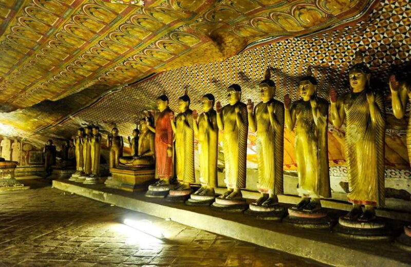 Colombo/Negombo: Sigiriya, Dambulla, and Minneriya Safari - Key Points