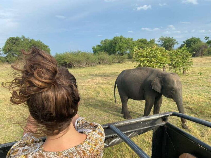 Colombo-Negombo : Sigiriya & Dambulla Cave Full-Day Tour - Key Points