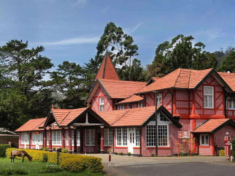 Colombo: Nuwara Eliya: Tea Gardens,Colonial Charm & High Tea - Key Points