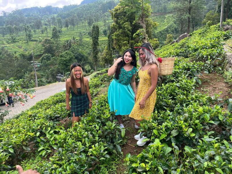 Colombo: Nuwara Eliya: Tea Gardens,Colonial Charm & High Tea - A Detailed Look at the Tour Experience