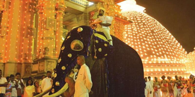 Colombo Port Shore Excursions Colombo City & Kalaniya Temple - What to Expect from the Colombo City & Kalaniya Temple Tour