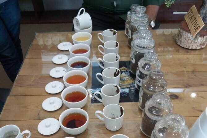 Colombo Private City Tour by Tuk Tuk - What Makes This Tour Stand Out