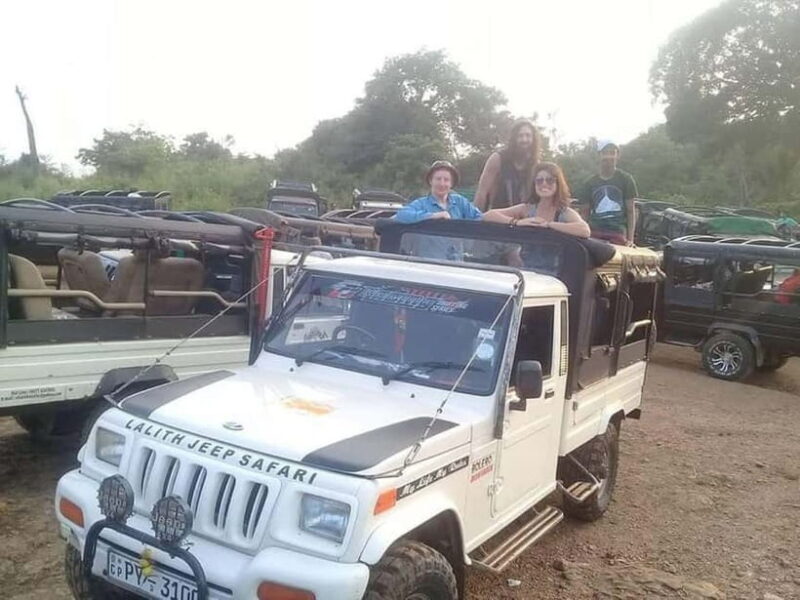 Colombo: Sigiriya, Dambulla Caves, & Wildlife Day Tour - Who Is This Tour Best For?