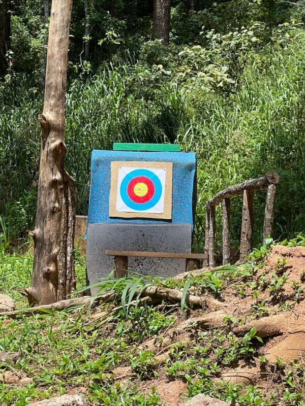 Colombo to Ambuluwawa Tower Private Day Trip 12 Hours - Practical Details and Experience Highlights