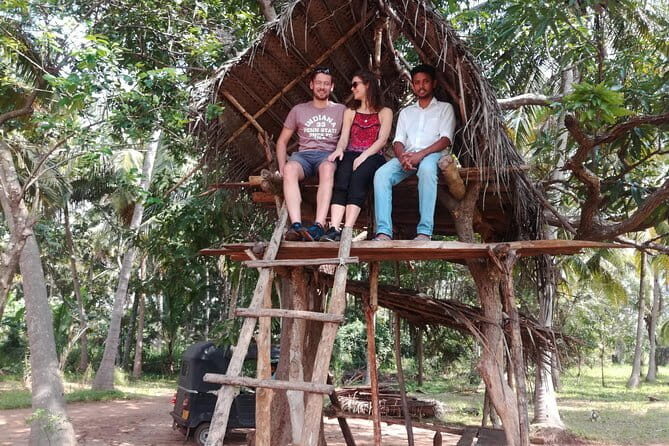 Colombo to Jaffna Private Budget Transfer - Who Is This Transfer Best For?