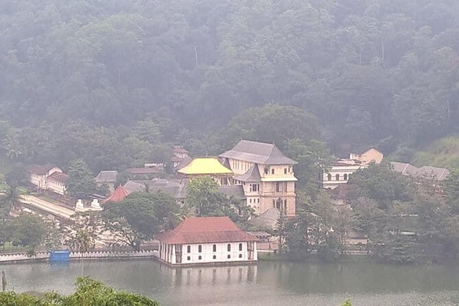 Colombo to Kandy Private Day Tour - Who Should Consider This Tour?