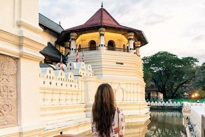 Colombo to Kandy Shuttle with Dambulla Sightseeing Tour - Is It Worth the Price?