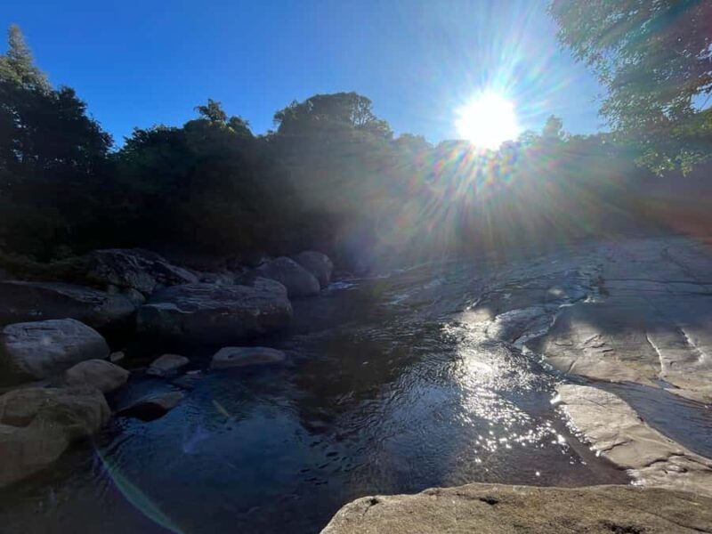 Colombo To Maskeliya & Waterfalls Day Trip - Key Points