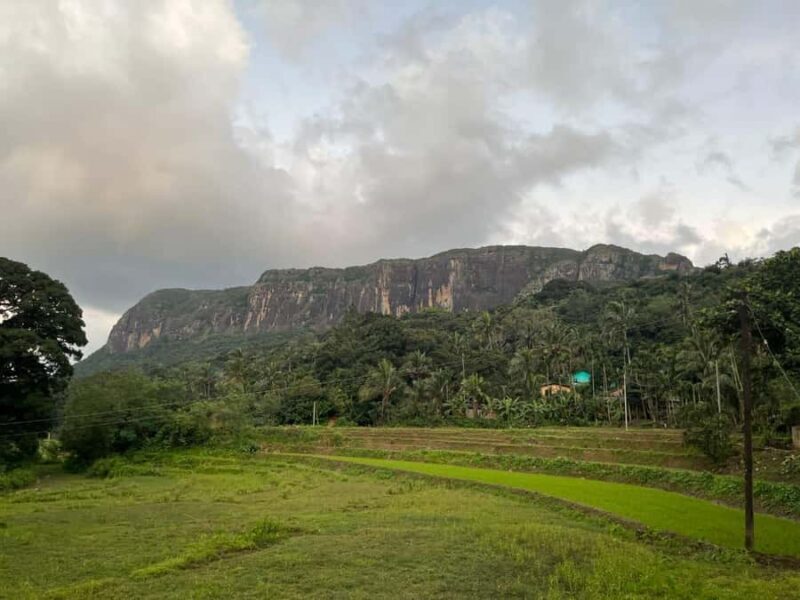 Colombo To Maskeliya & Waterfalls Day Trip - Optional Hike to Adams Peak