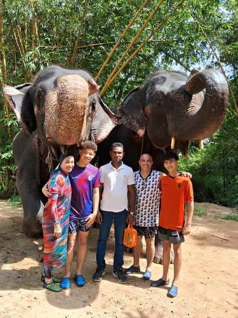 Colombo To Pinnawala & Kandy Luxury Day Tour by Car/Van/Bus - The Itinerary: What to Expect from Dawn to Dusk