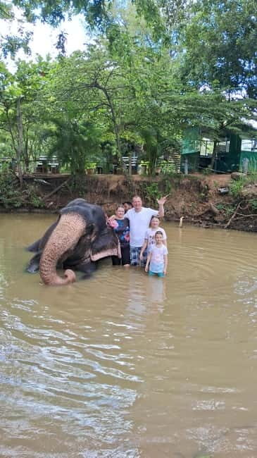 Colombo To Pinnawala & Kandy Luxury Day Tour by Car/Van/Bus - Whats Missing? Considerations for Travelers