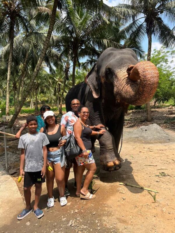 Colombo to Pinnawala & Kandy  Private Cultural Day Tour - An Honest Look at the Journey