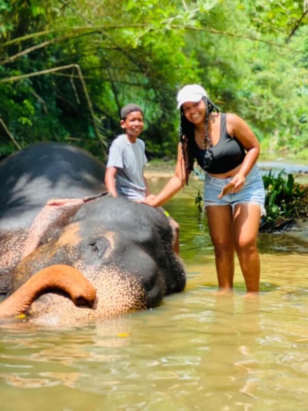 Colombo to Pinnawala & Kandy  Private Cultural Day Tour - Potential Drawbacks and Considerations