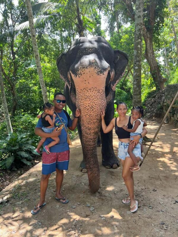 Colombo to Pinnawala & Kandy  Private Cultural Day Tour - The Value of This Tour