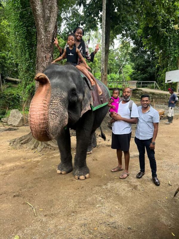 Colombo to Pinnawala & Kandy  Private Cultural Day Tour - Who This Tour Is Best For