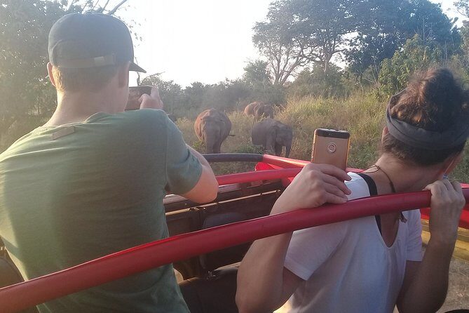 Colombo to polonnaruwa ancient city visit and safari - Introduction: Discovering Sri Lanka’s Hidden Gems in One Day